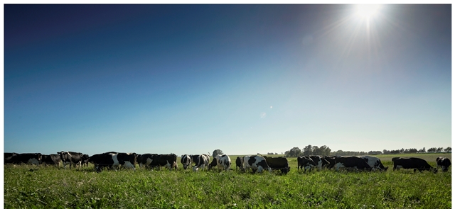 Inale - Instituto Nacional de la Leche