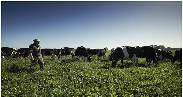 Inale - Instituto Nacional de la Leche