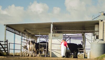 Inale - Instituto Nacional de la Leche