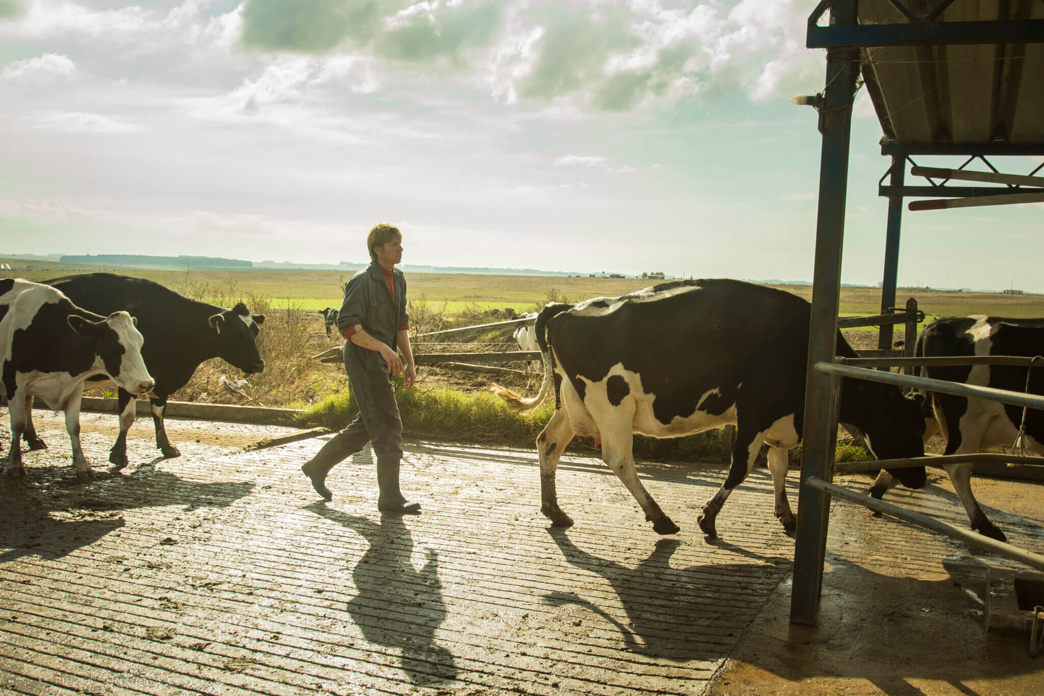 Inale - Instituto Nacional de la Leche