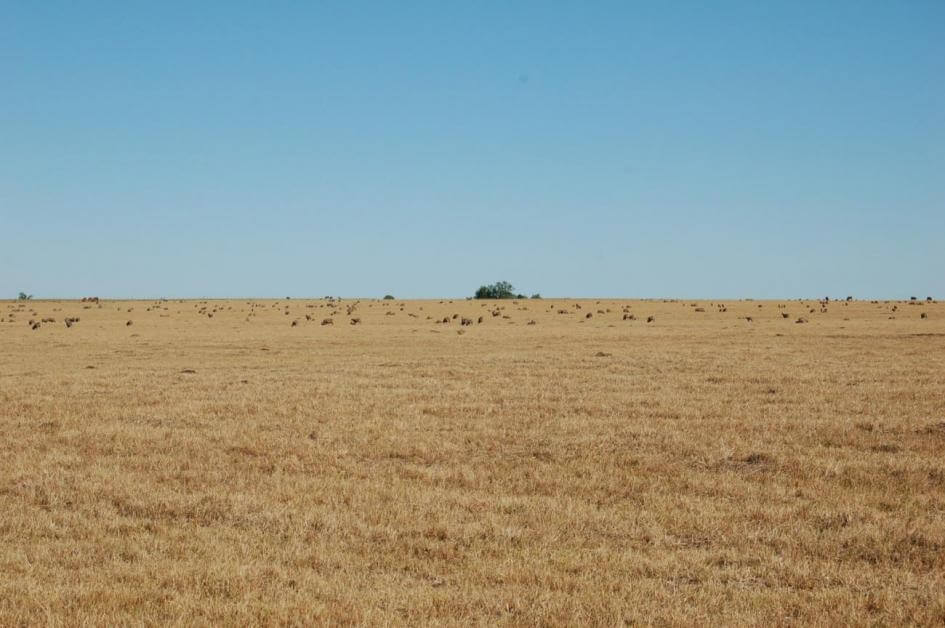 Inale - Instituto Nacional de la Leche