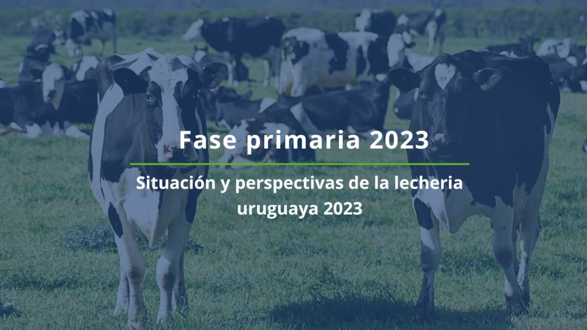 Situación y perspectivas 2023: Fase primaria - Inale