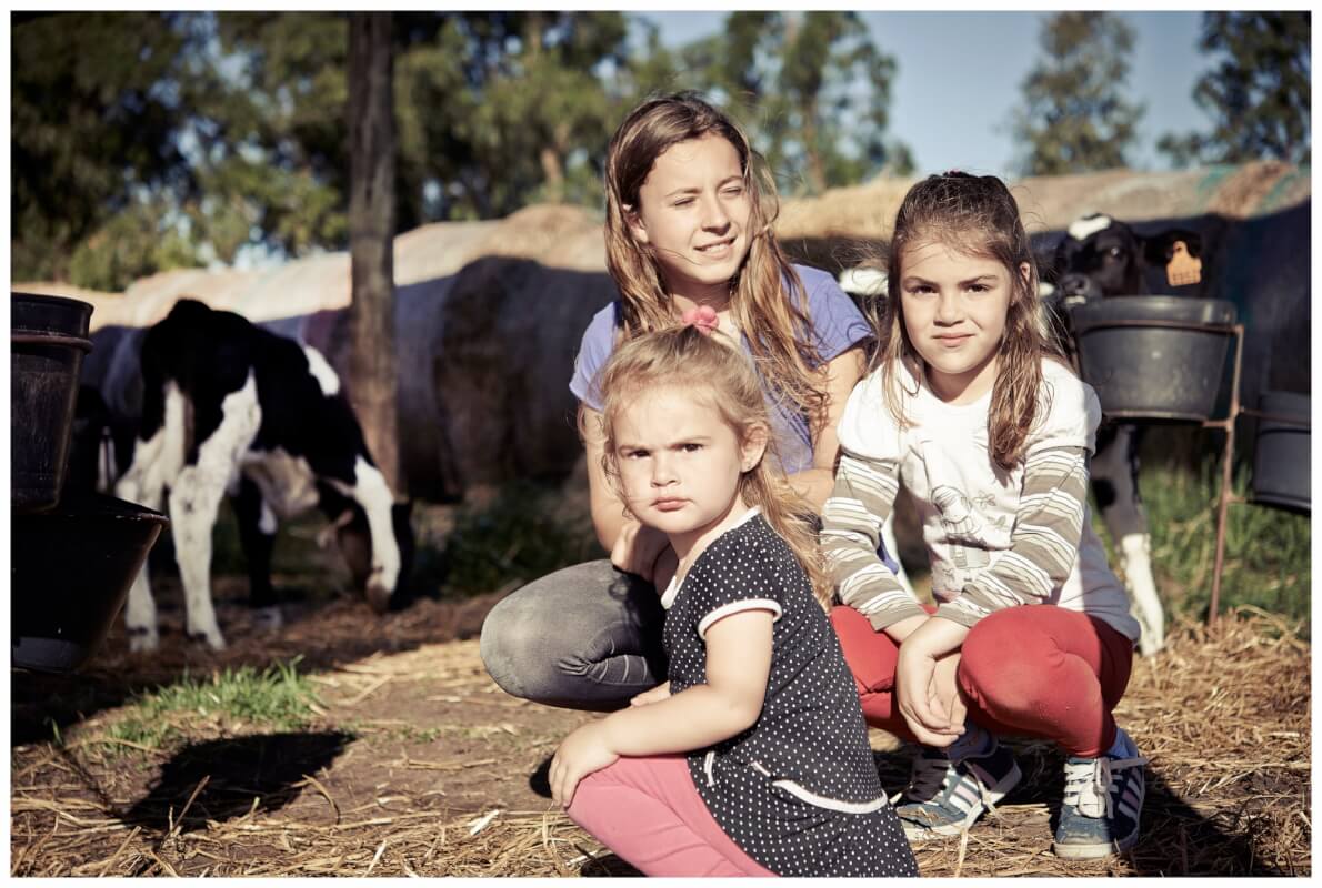 Informe: producción lechera familiar - Inale